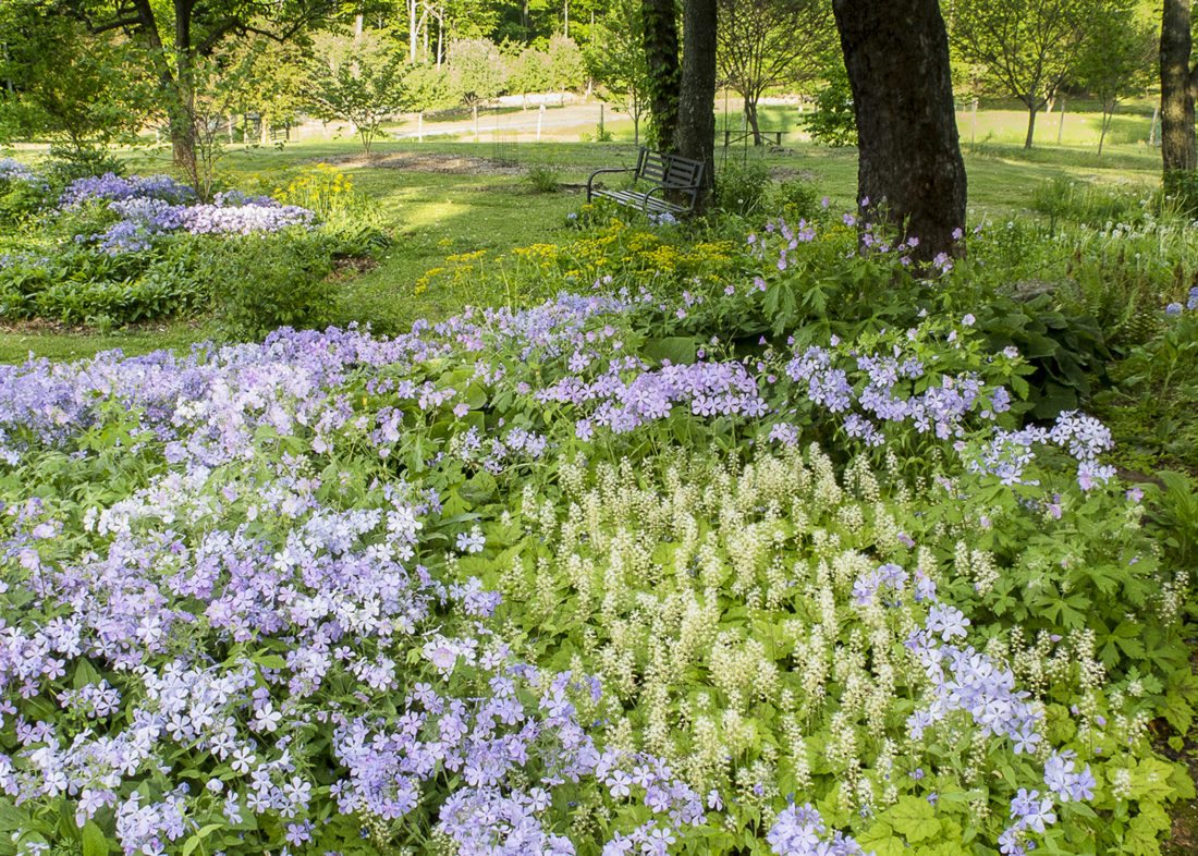 Nurturing nature: Film shows how native plants help climate change ...